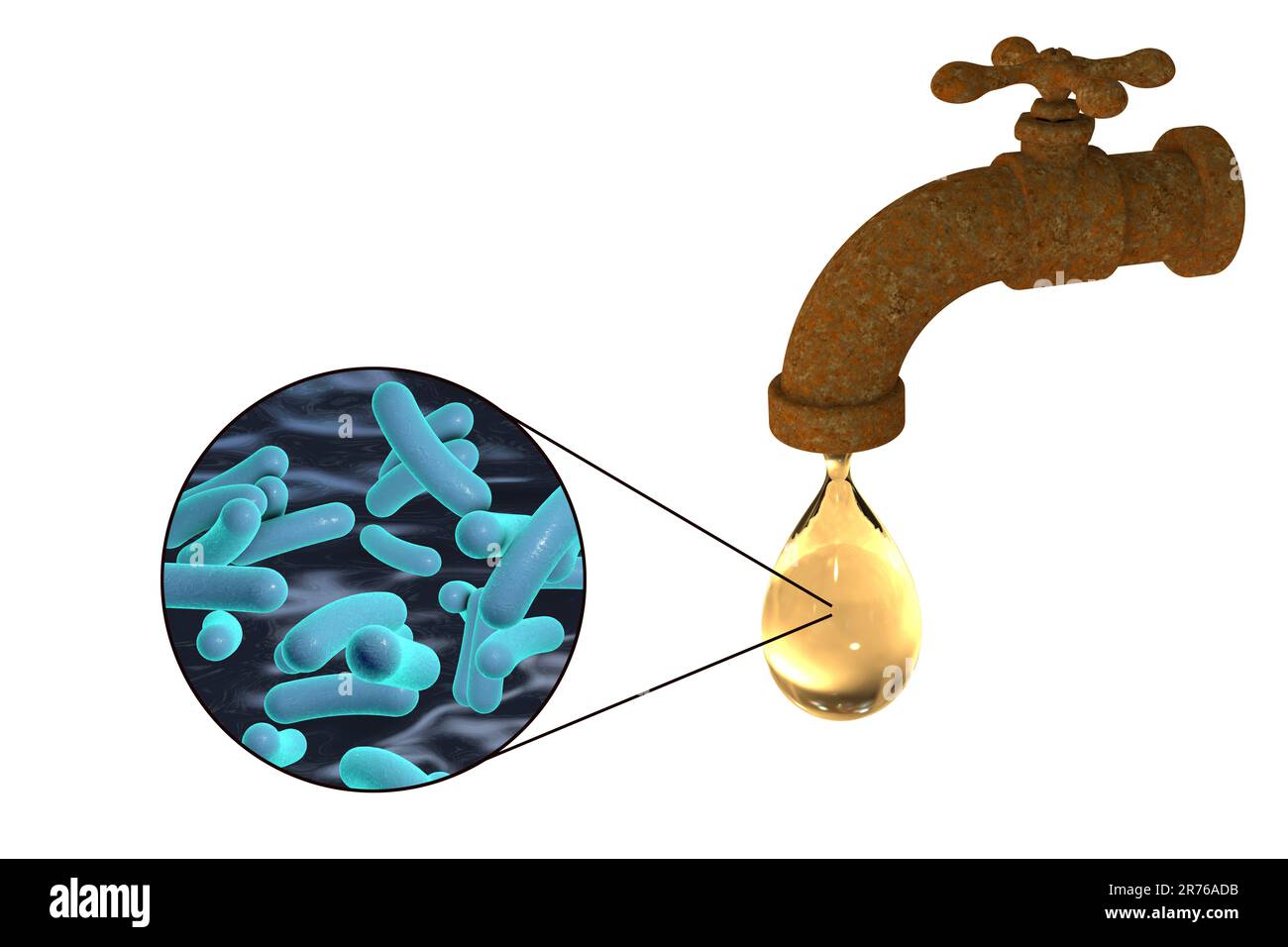 Safety of drinking water, conceptual image showing microbes in a drop ...