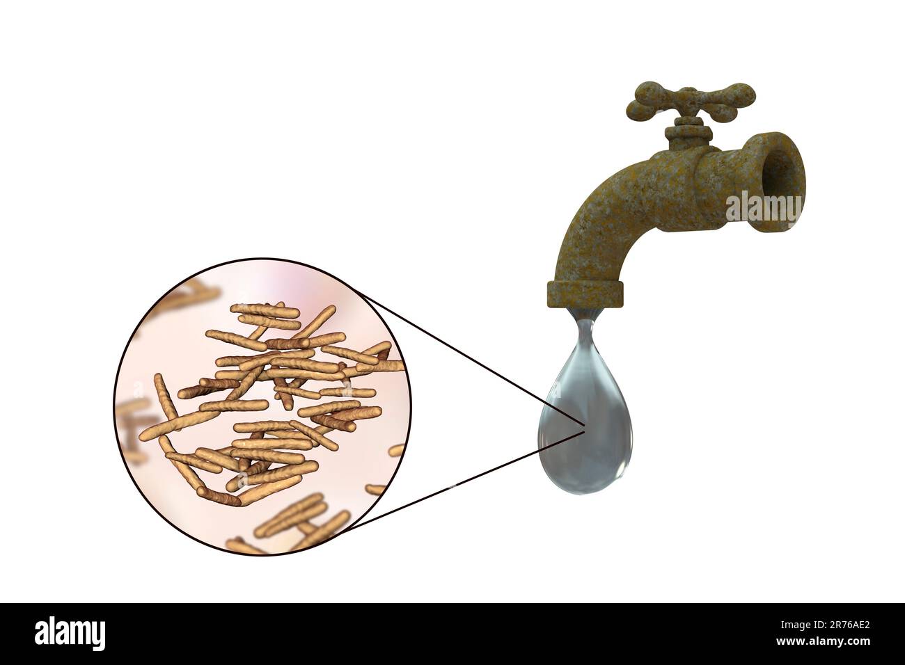 Safety of drinking water, conceptual image showing microbes in a drop ...