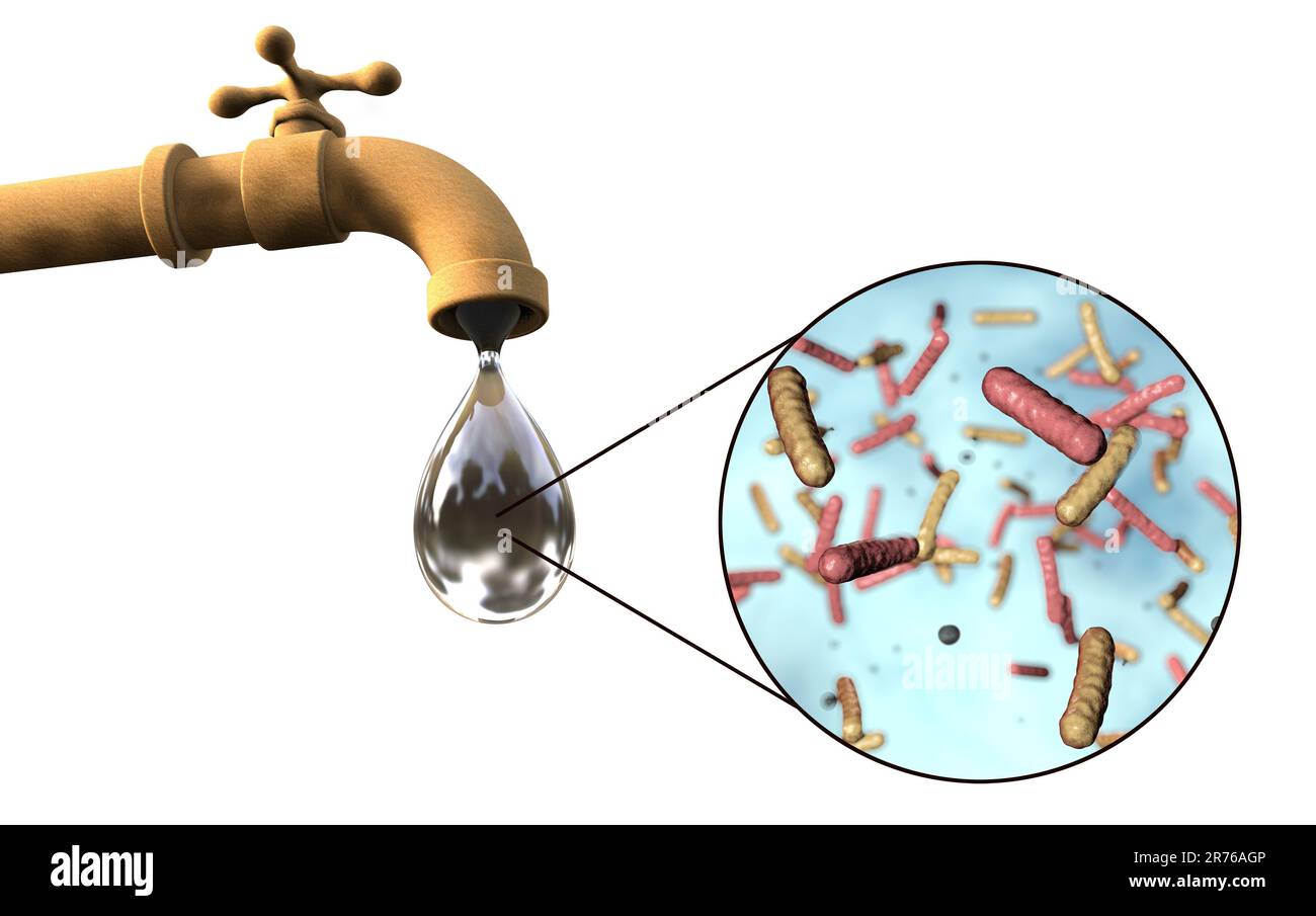 Safety of drinking water, conceptual image showing microbes in a drop ...