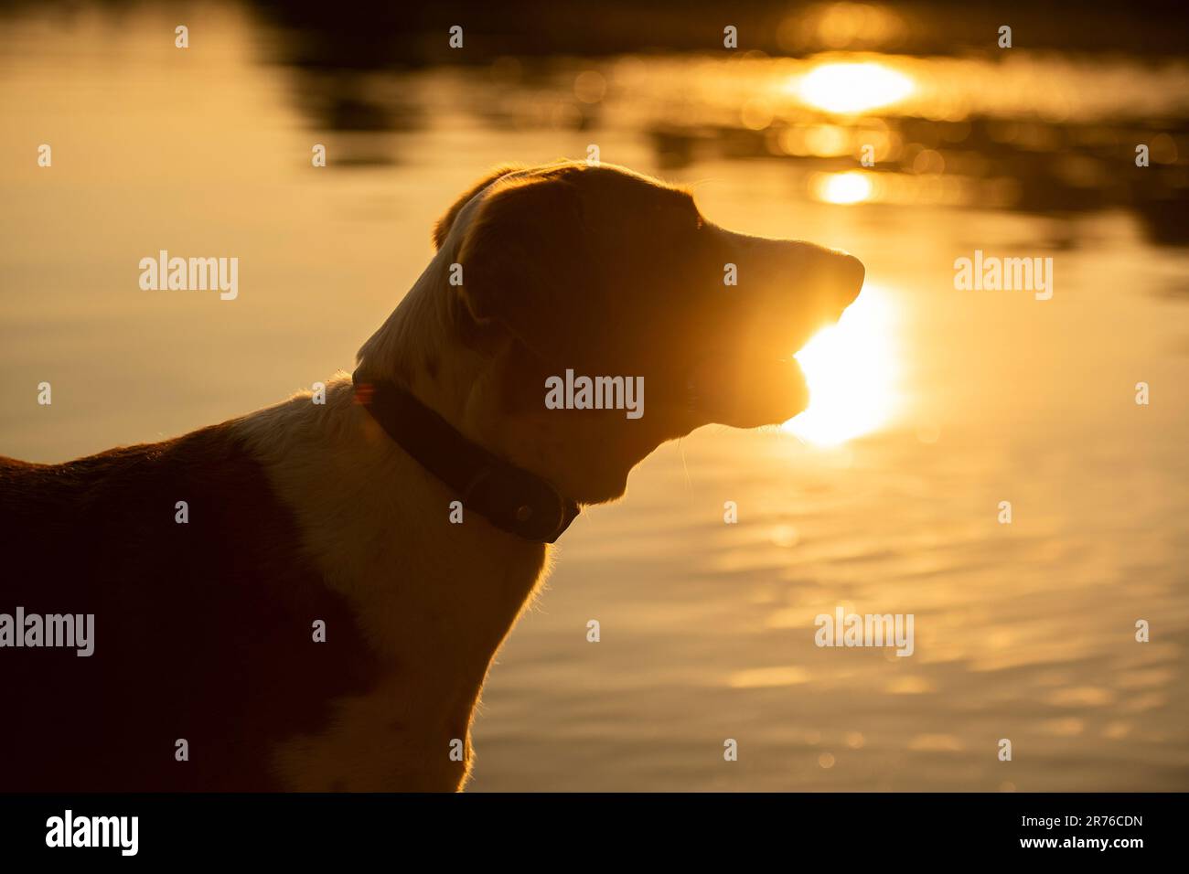Bank of havel river hi-res stock photography and images - Alamy