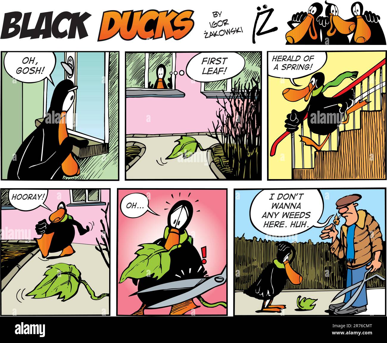 Black Ducks Comic Strip episode 61 Stock Vector Image & Art - Alamy
