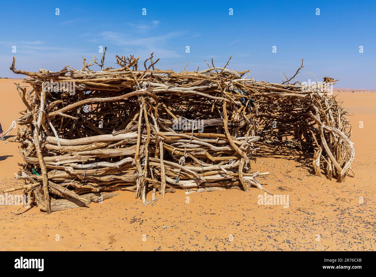 Acacia well hi-res stock photography and images - Alamy