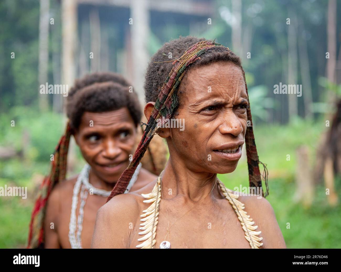 Portrait of a woman of the Korovai tribe. Tribe of Korowai (Kombai ...