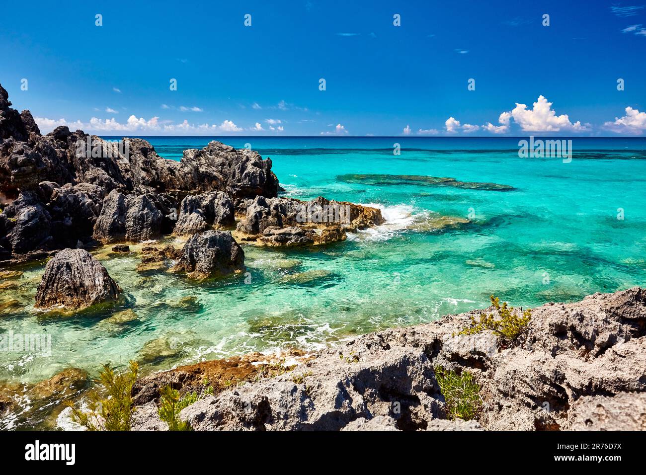 Clear bermuda water and palm tree hi-res stock photography and images ...