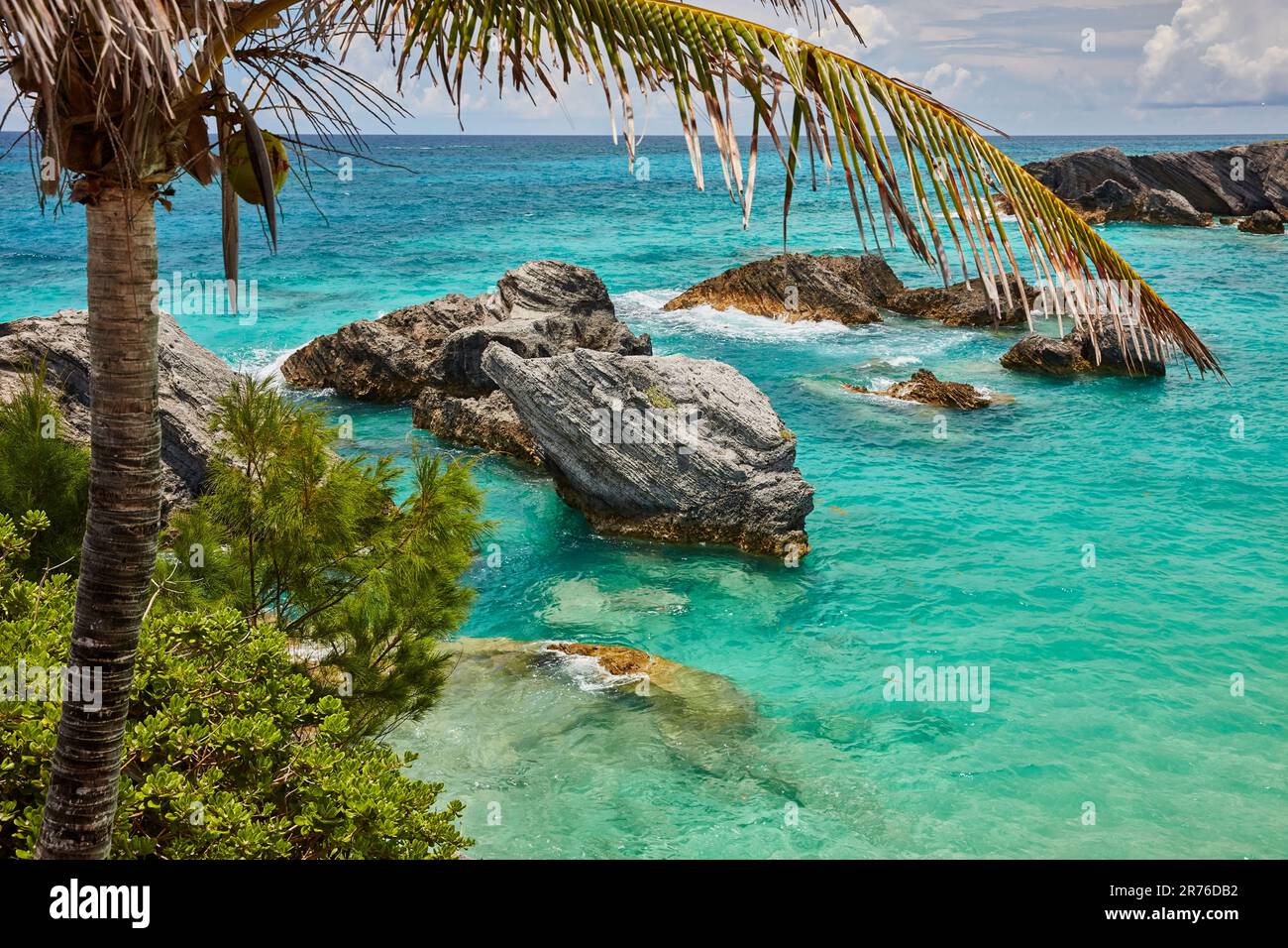 Clear bermuda water and palm tree hi-res stock photography and images ...