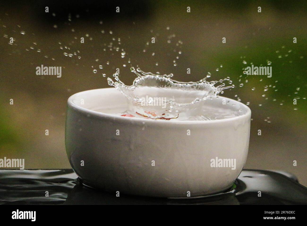 The water splashing into the white ceramic bowl Stock Photo - Alamy
