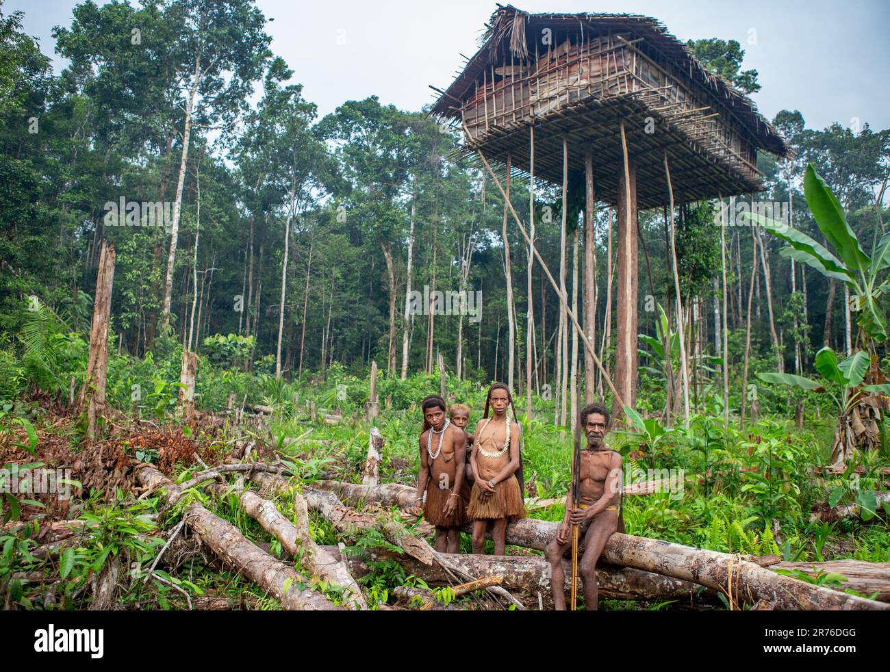 Nu guinea hi-res stock photography and images - Alamy