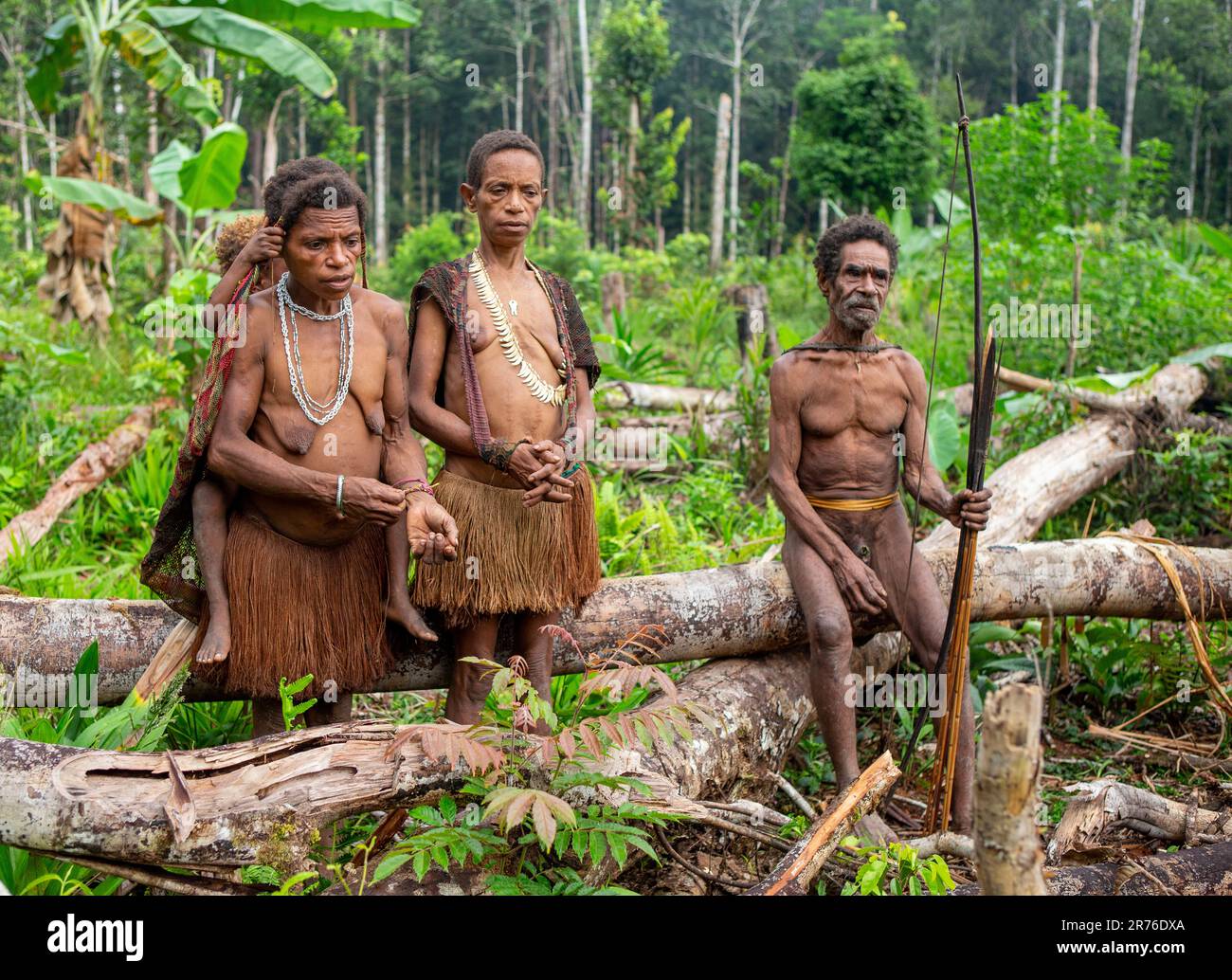 Korowai tribe family in the jungle. Tribe of Korowai (Kombai , Kolufo). June 10, 2016 in Onni ...