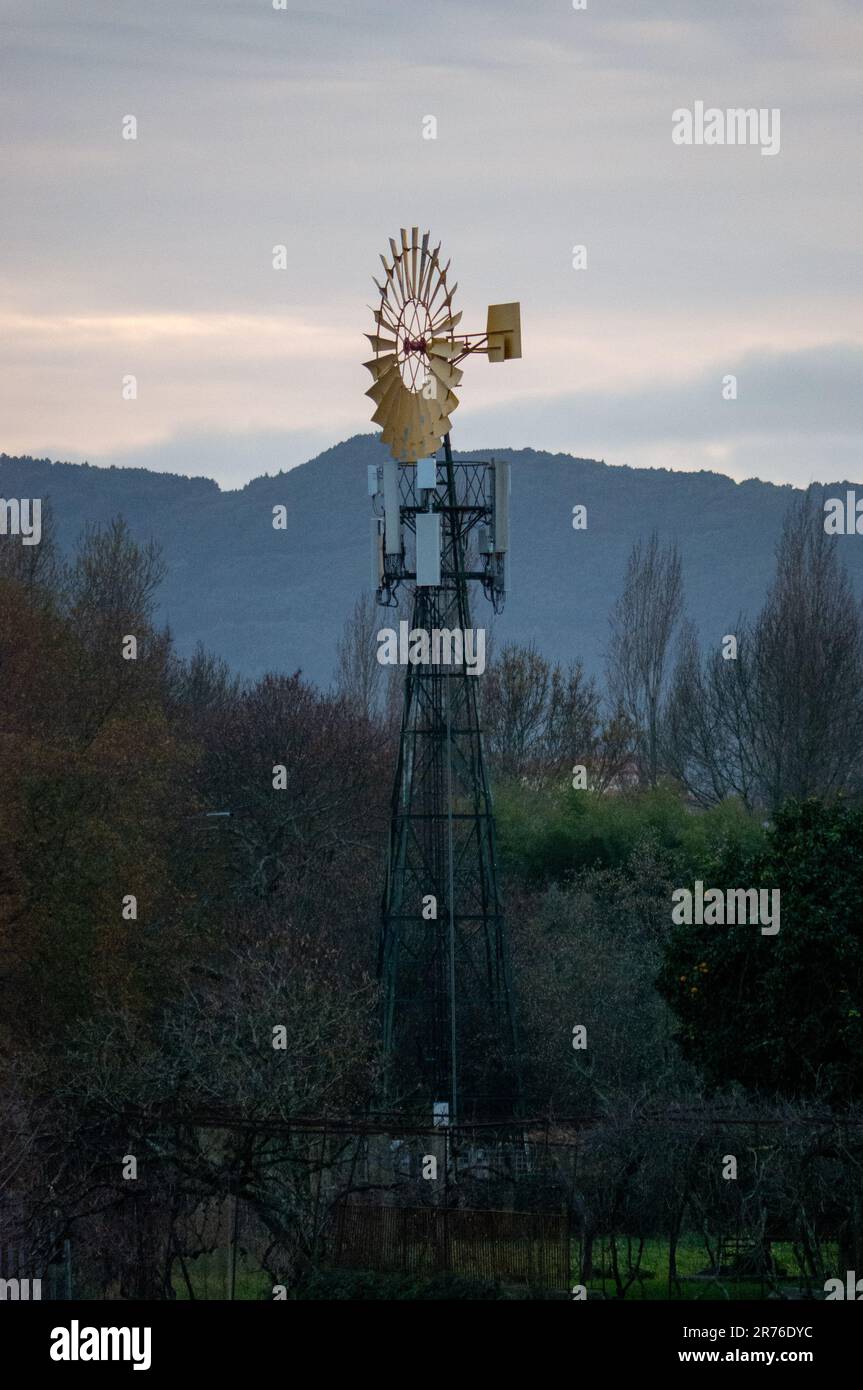 A vertical shot of a traditional windmill situated atop a grassy hill ...