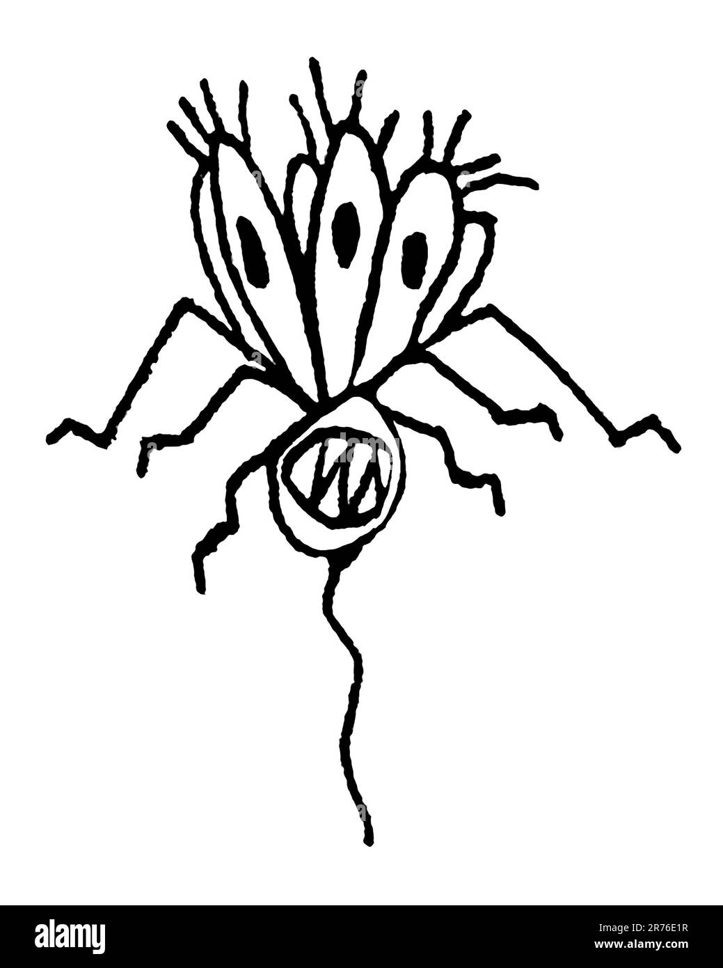 Alien weird insect front view full body portrait isolated black and ...