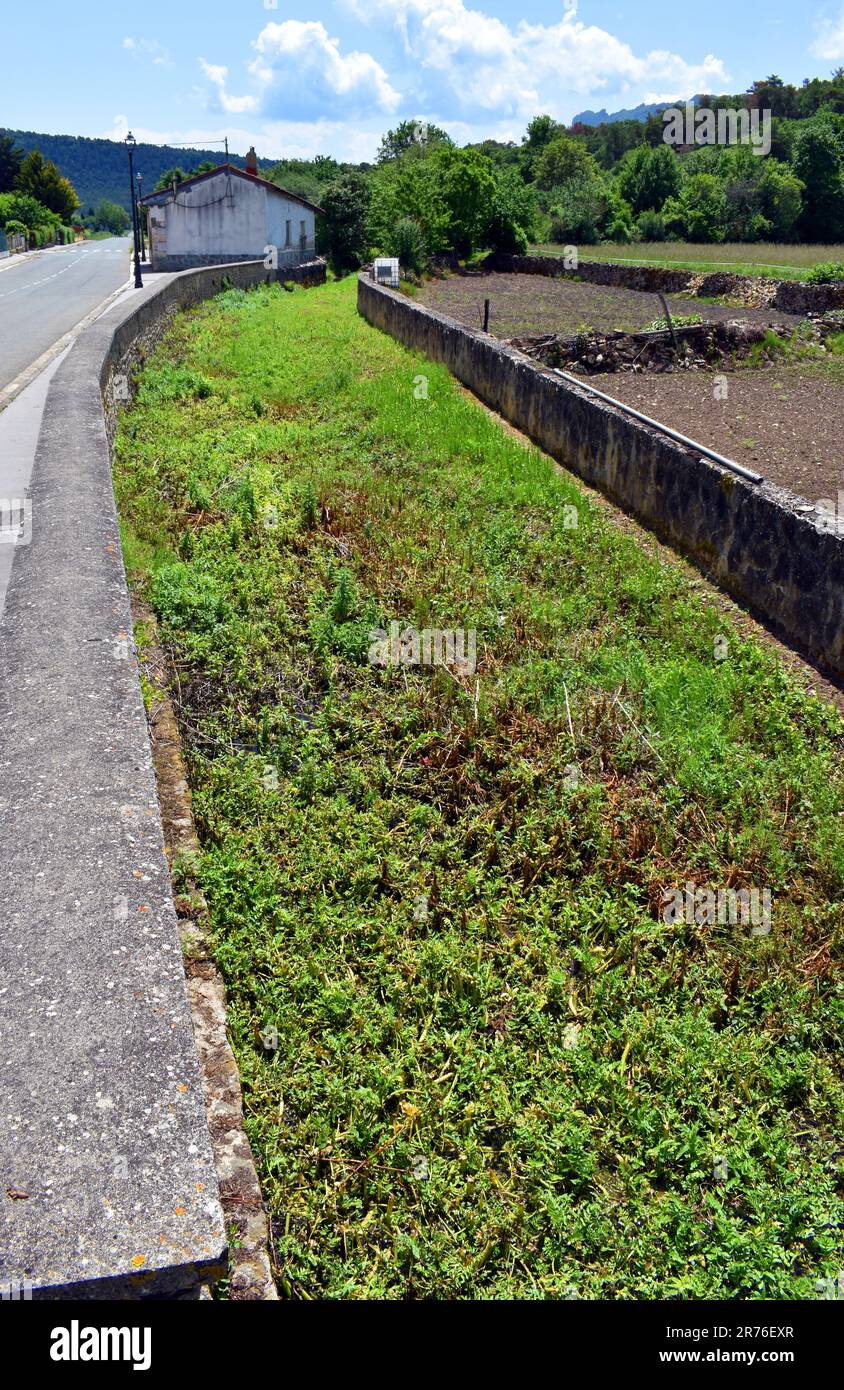 Riverbed channel hi-res stock photography and images - Alamy