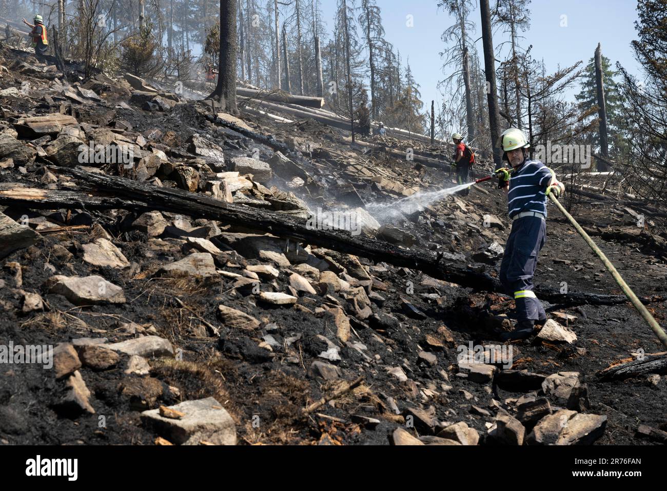 Oberursel, Germany. 13th June, 2023. A firefighter extinguishes nests ...