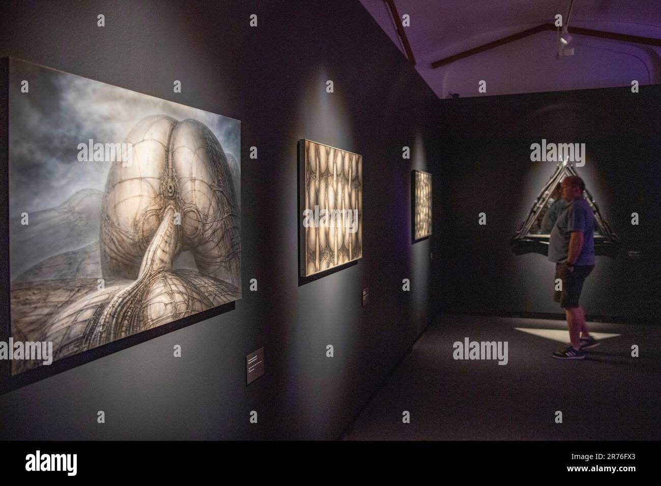 Hluboka Nad Vltavou, Czech Republic. 13th June, 2023. Exhibition ...