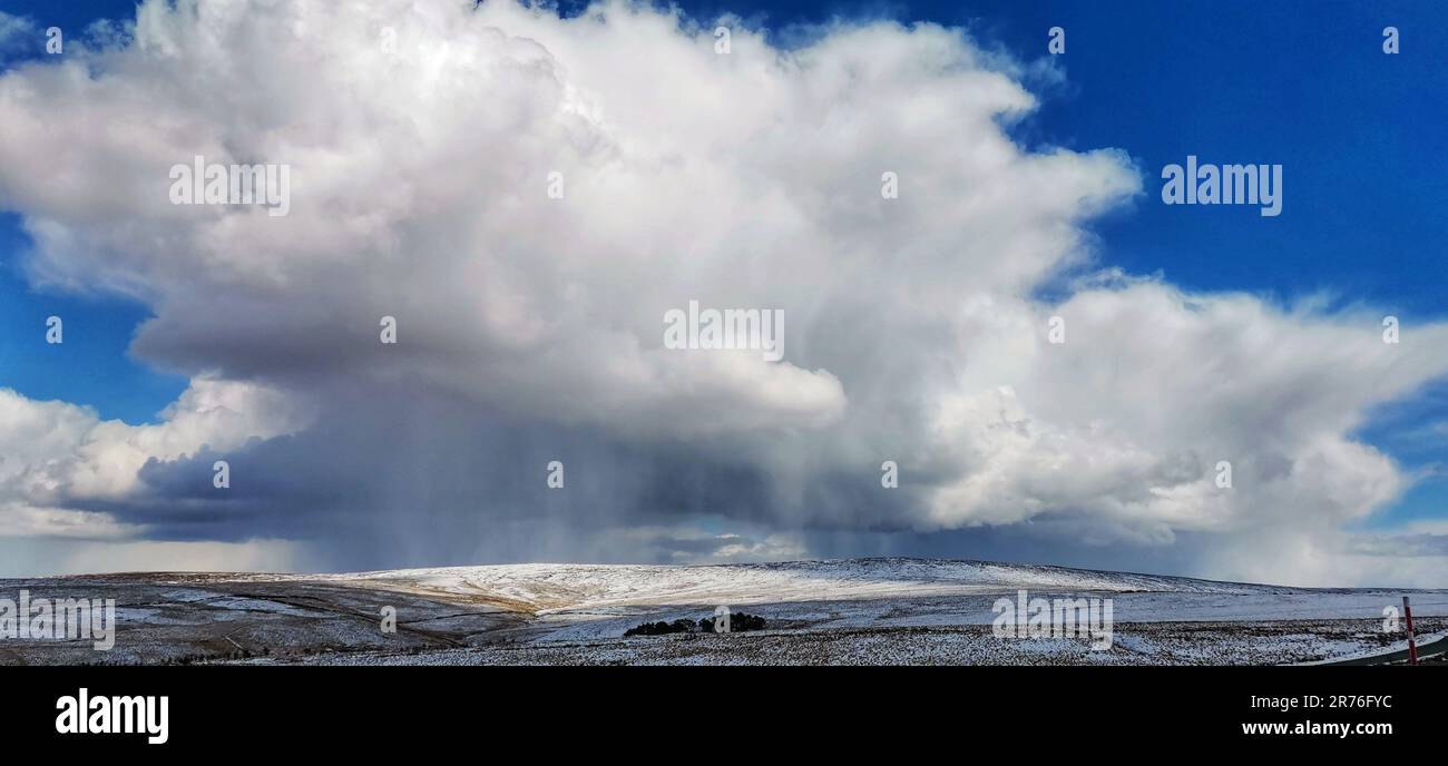A majestic white cloud rolling over a vast open field blanketed with a ...
