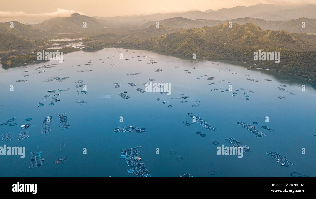 Experience sustainable aquaculture at its finest! Immerse yourself in a ...