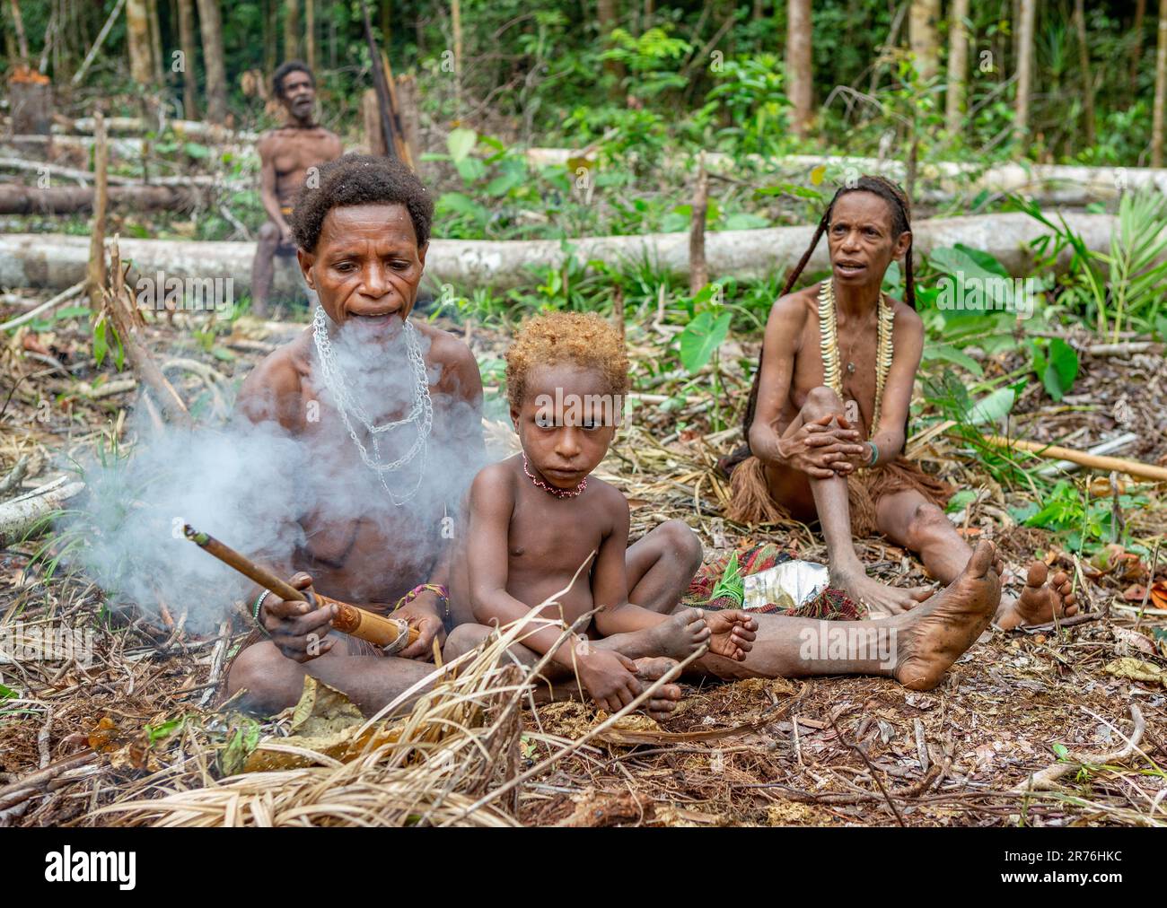 Korowai tribe family in the jungle. Tribe of Korowai (Kombai , Kolufo ...
