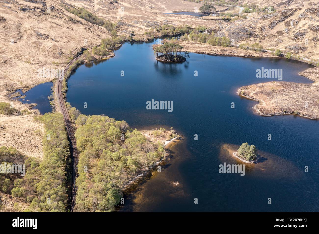 Dumbledores hi-res stock photography and images - Alamy