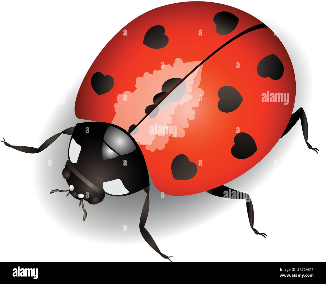 Vector illustration of a ladybug with hearts on back Stock Vector Image ...