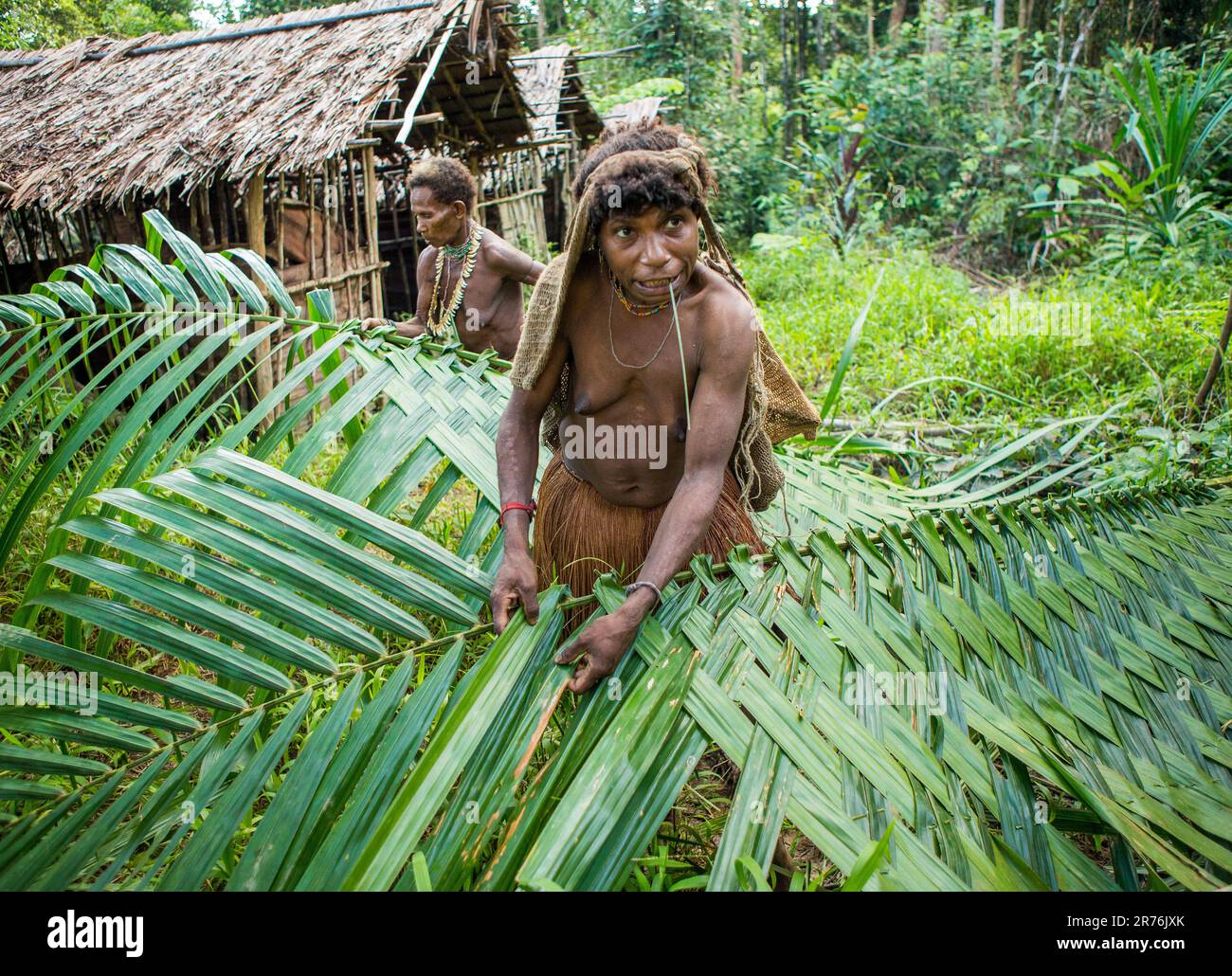 Women of the Korowai tribe are weaving fishing baskets. Tribe of ...
