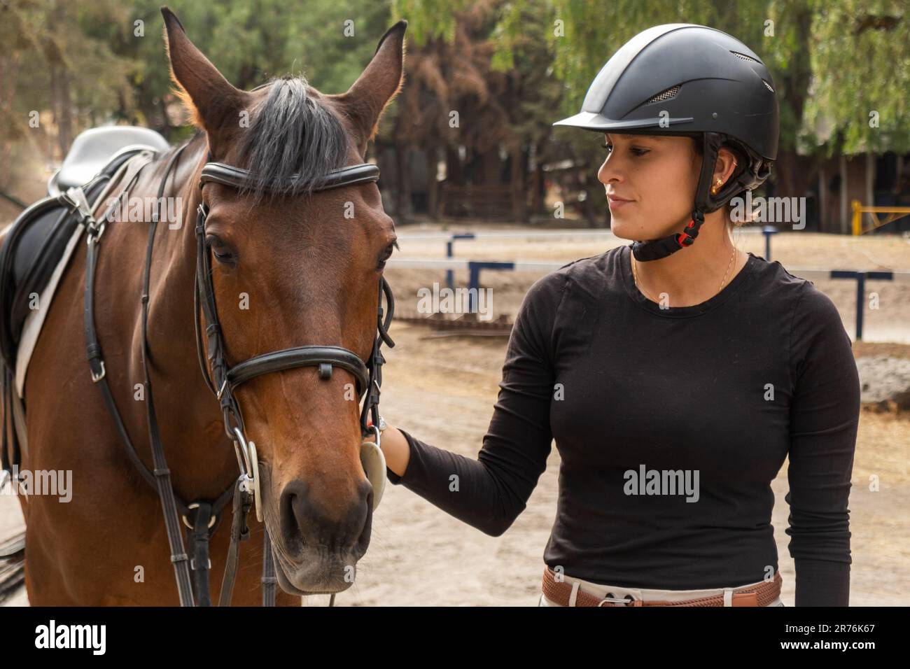 Female equestrian in riding hat with chestnut horse in saddle with bit ...