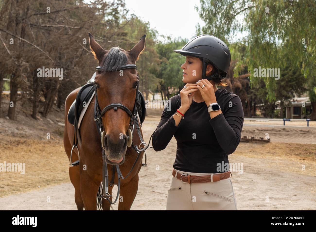 Female equestrian in riding hat with chestnut horse in saddle with bit ...