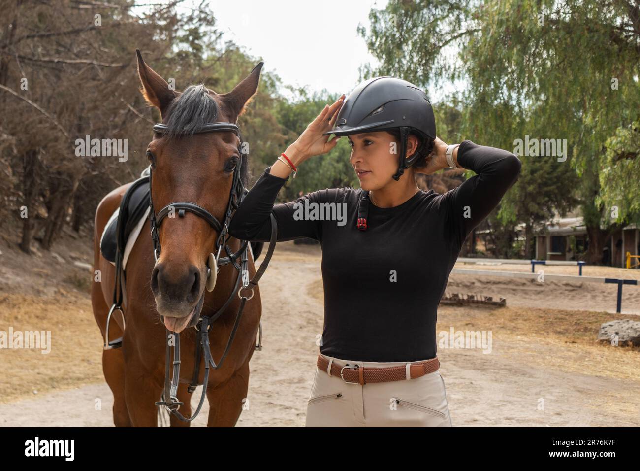 Female equestrian in riding hat with chestnut horse in saddle with bit ...
