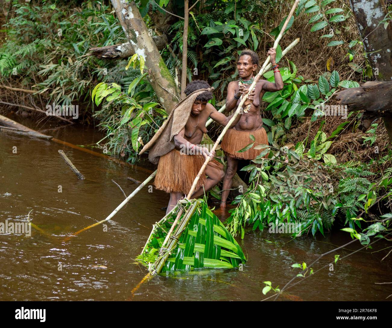 Women of the Korowai tribe are weaving fishing baskets. Tribe of ...