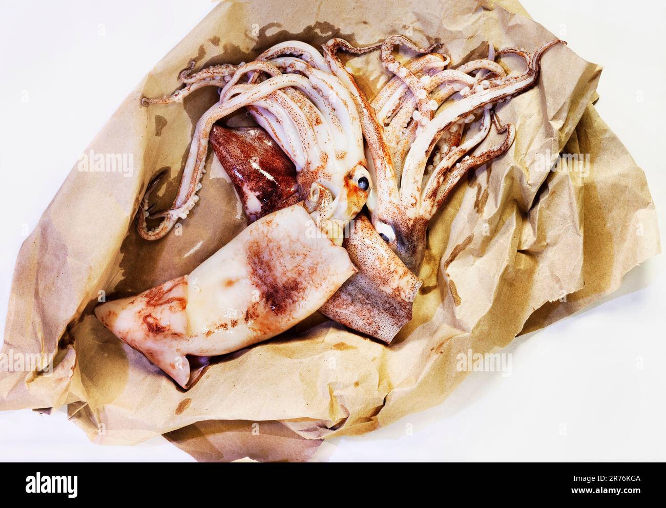 Fresh uncooked flying squid fish on brown paper ,uncooked fish Stock ...