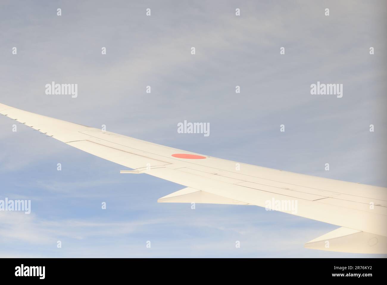 JAL airline flight wing Stock Photo - Alamy