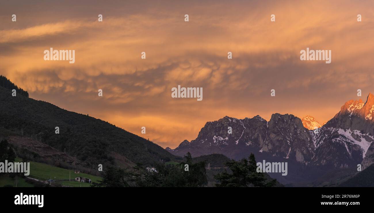 Green mantle hi-res stock photography and images - Alamy