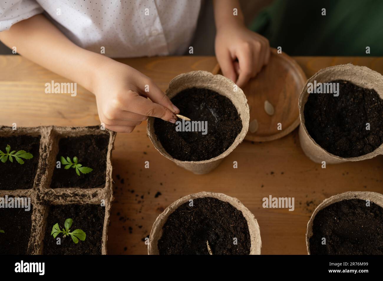 High angle of crop anonymous gardener in casual clothes standing at ...