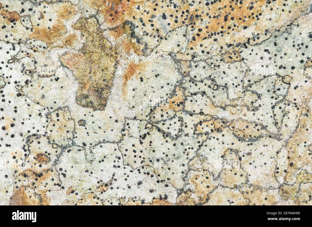 Abstract patterns adds hi-res stock photography and images - Alamy