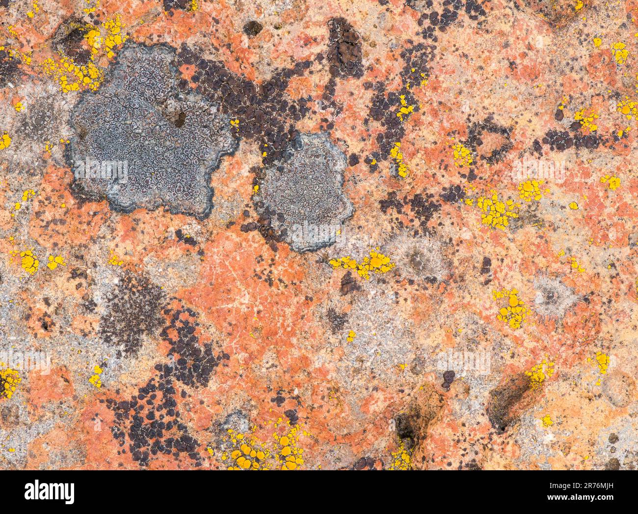 Top view closeup textured background of grunge red rock with cracks and ...
