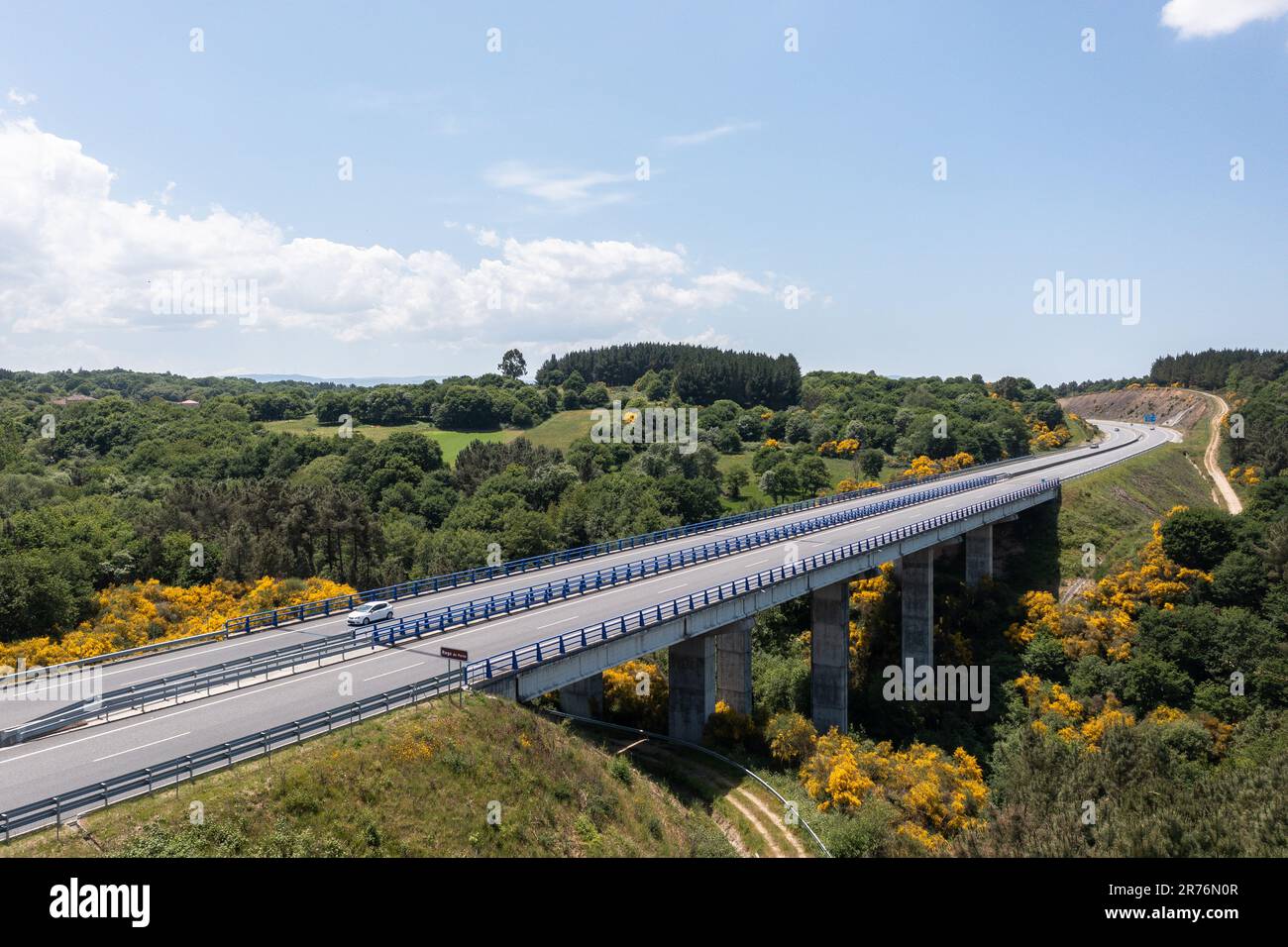 Tree line pathway through the woods hi-res stock photography and images ...