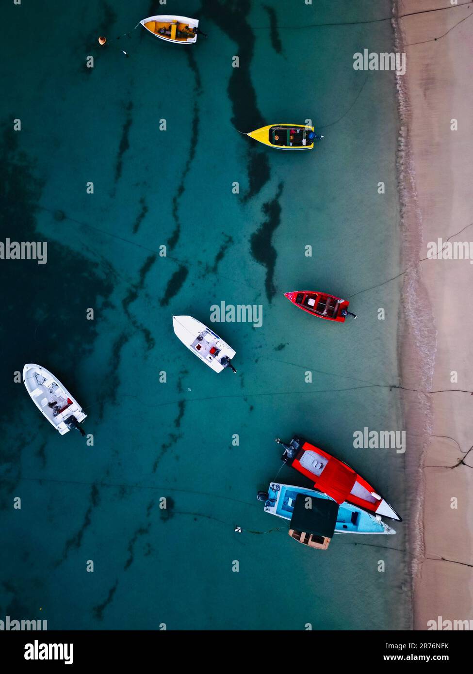 A fleet of vessels gathered in close proximity in a calm body of water ...