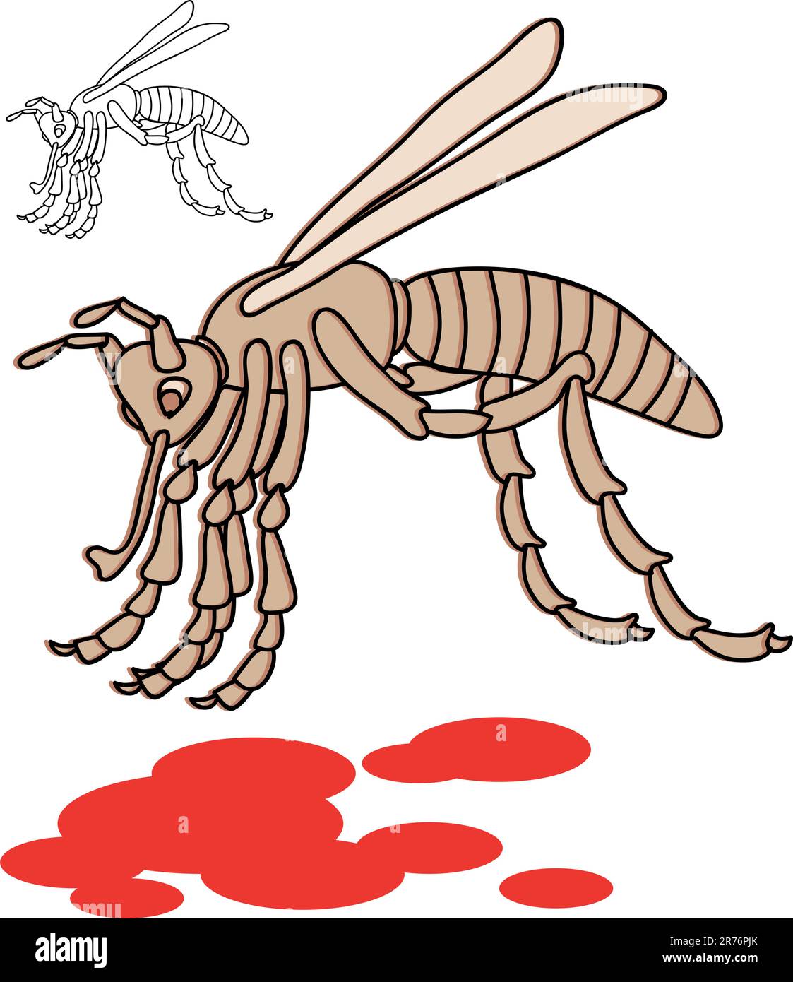 Insect extreme detail Stock Vector Images - Alamy