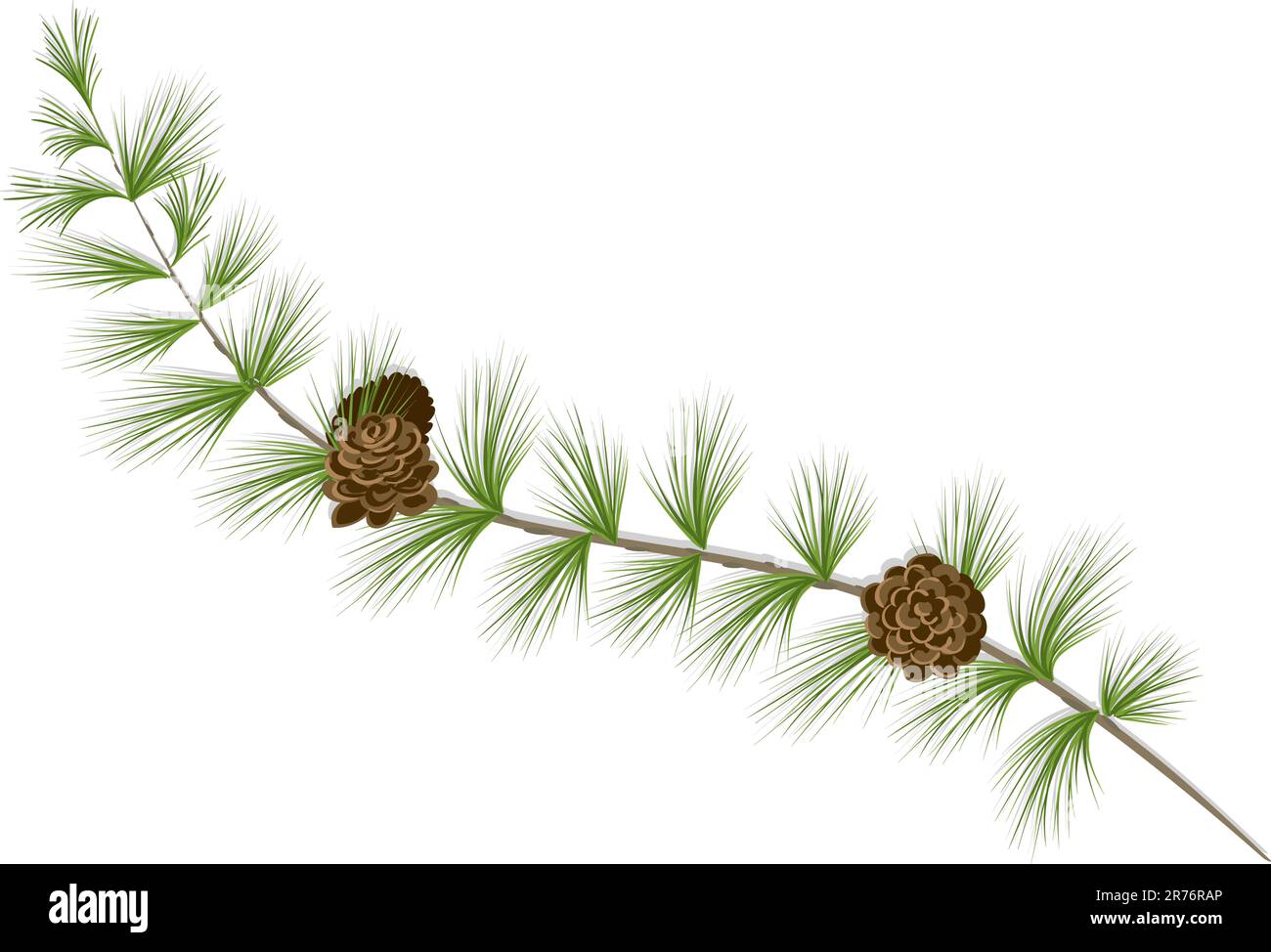 Branch close up Stock Vector Images - Alamy