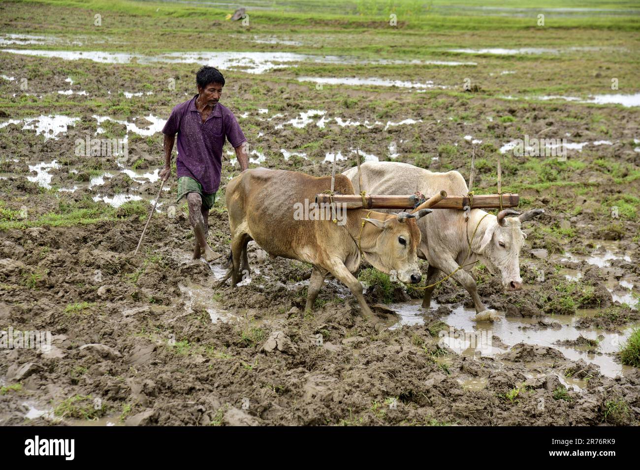 Sunday 11th june 2023 hi-res stock photography and images - Alamy