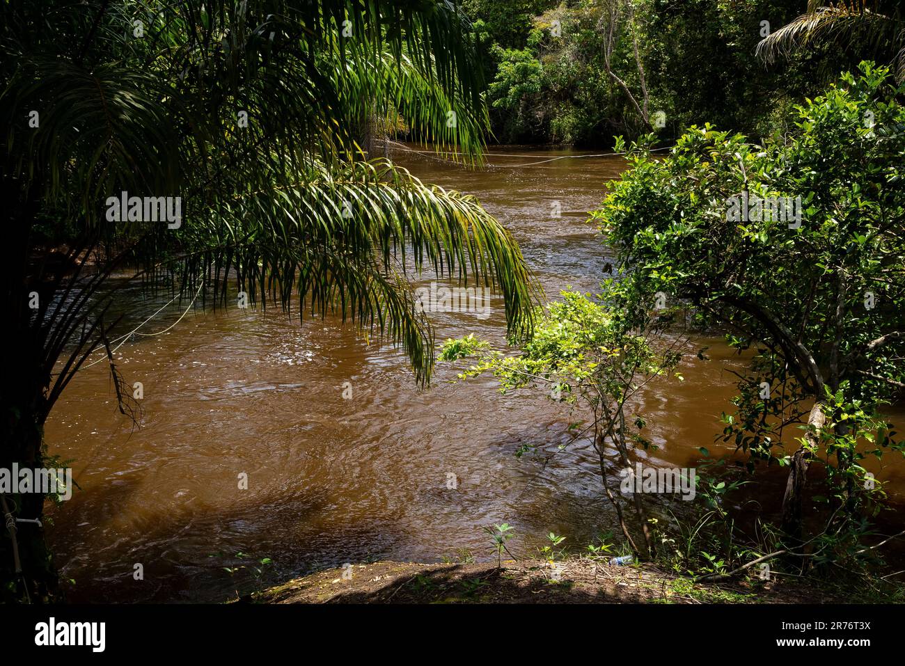 A scenic river flows through a lush forest, with the waters churning up ...