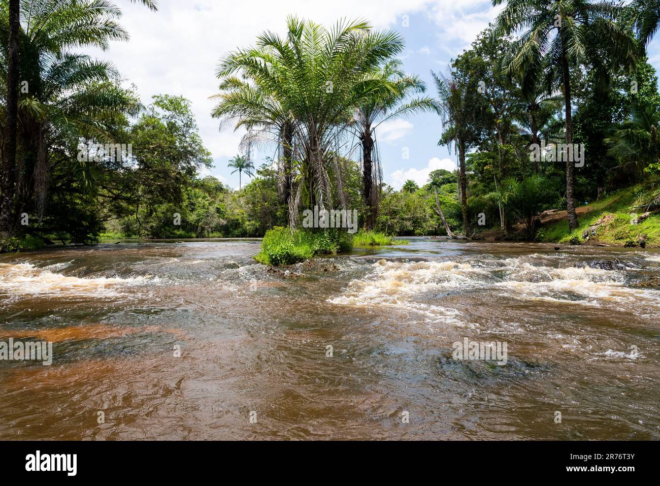 A scenic view of a river winding its way through lush green palm trees ...