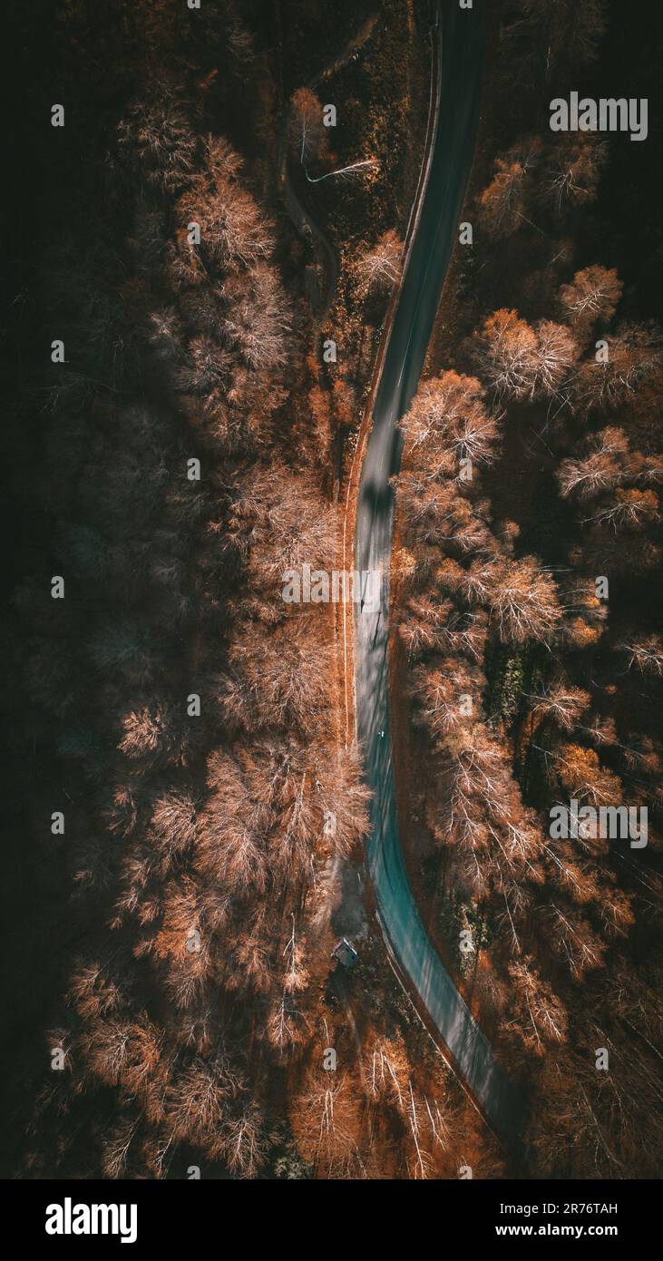 Aerial view of a winding road through a wooded area illuminated by the ...