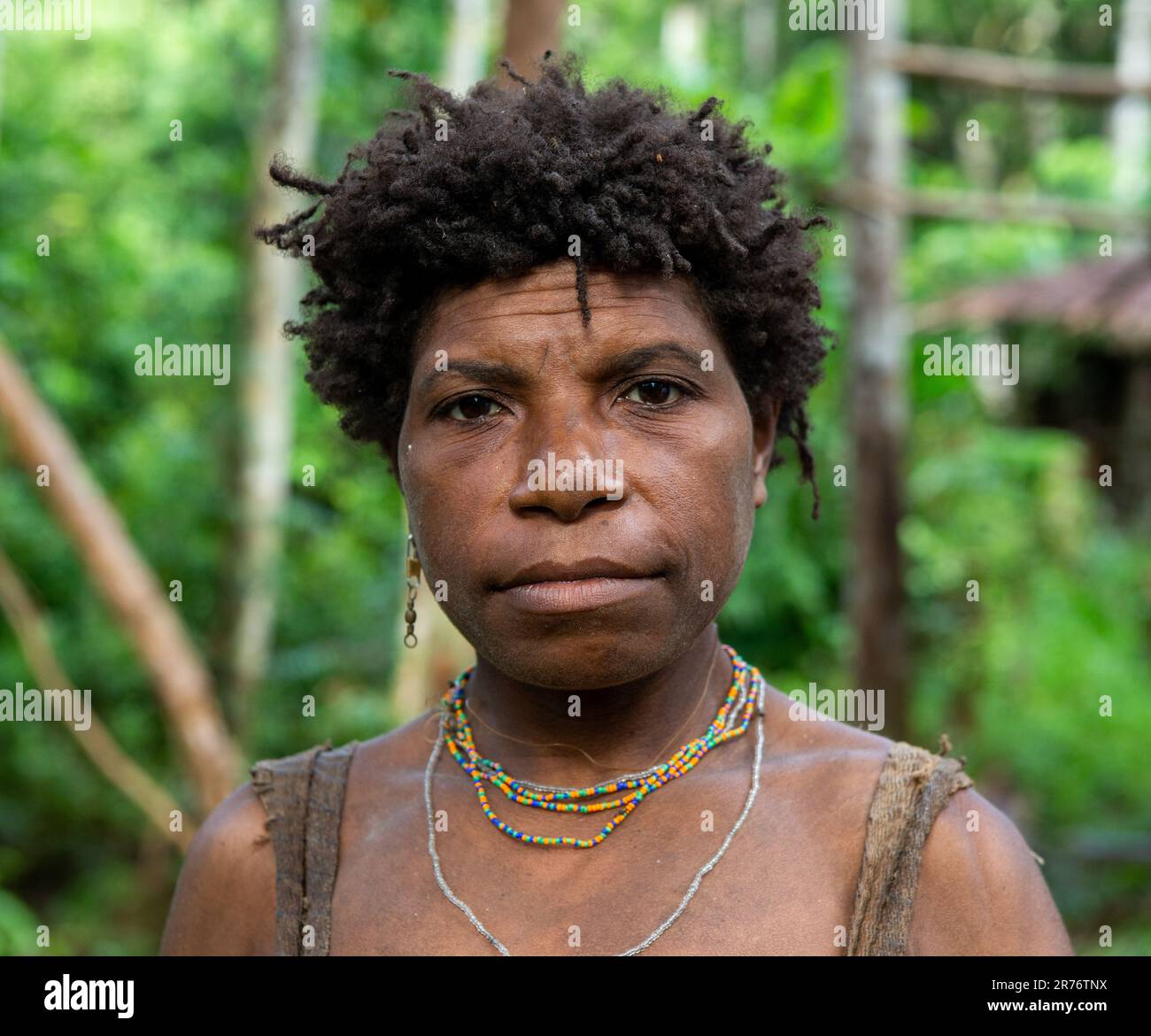 Portrait of a woman of the Korovai tribe. Tribe of Korowai (Kombai ...