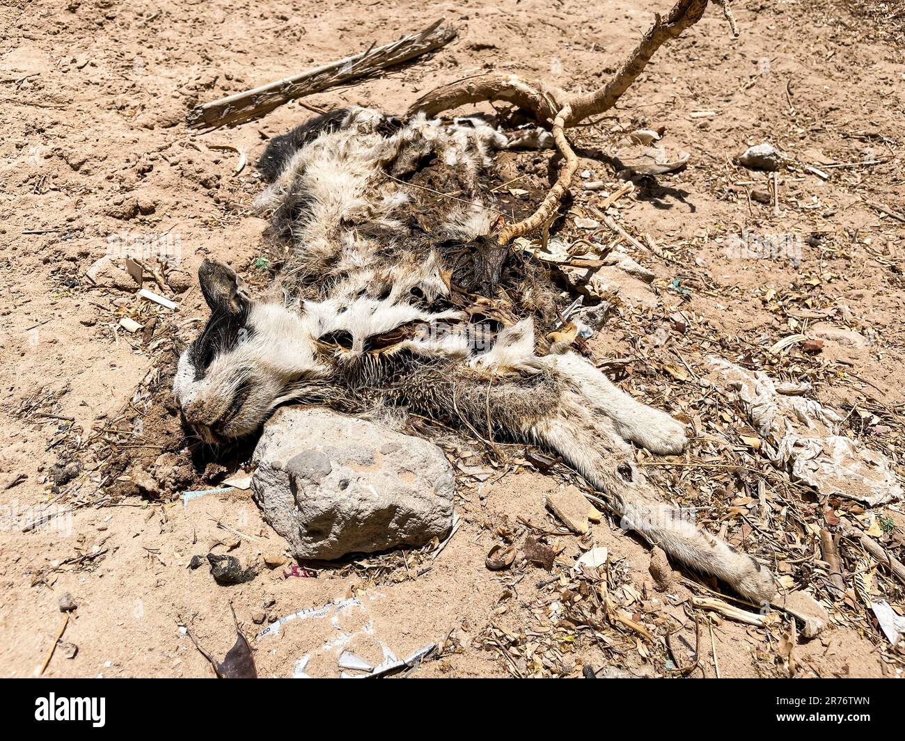 Akjoujt hi-res stock photography and images - Alamy