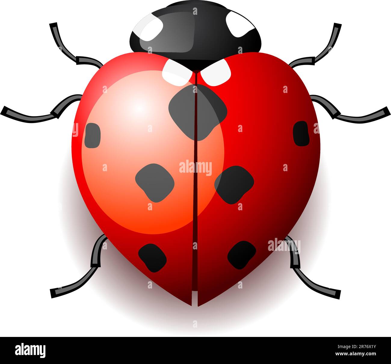 Heart shaped ladybird, vector illustration Stock Vector Image & Art - Alamy