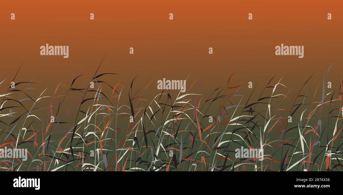Reed reed habitat Stock Vector Images - Alamy