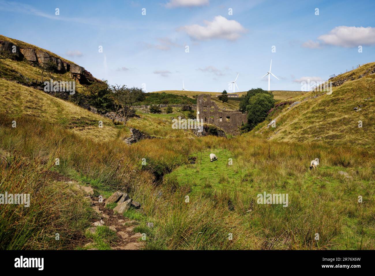 Sheep moorland mills hi-res stock photography and images - Alamy