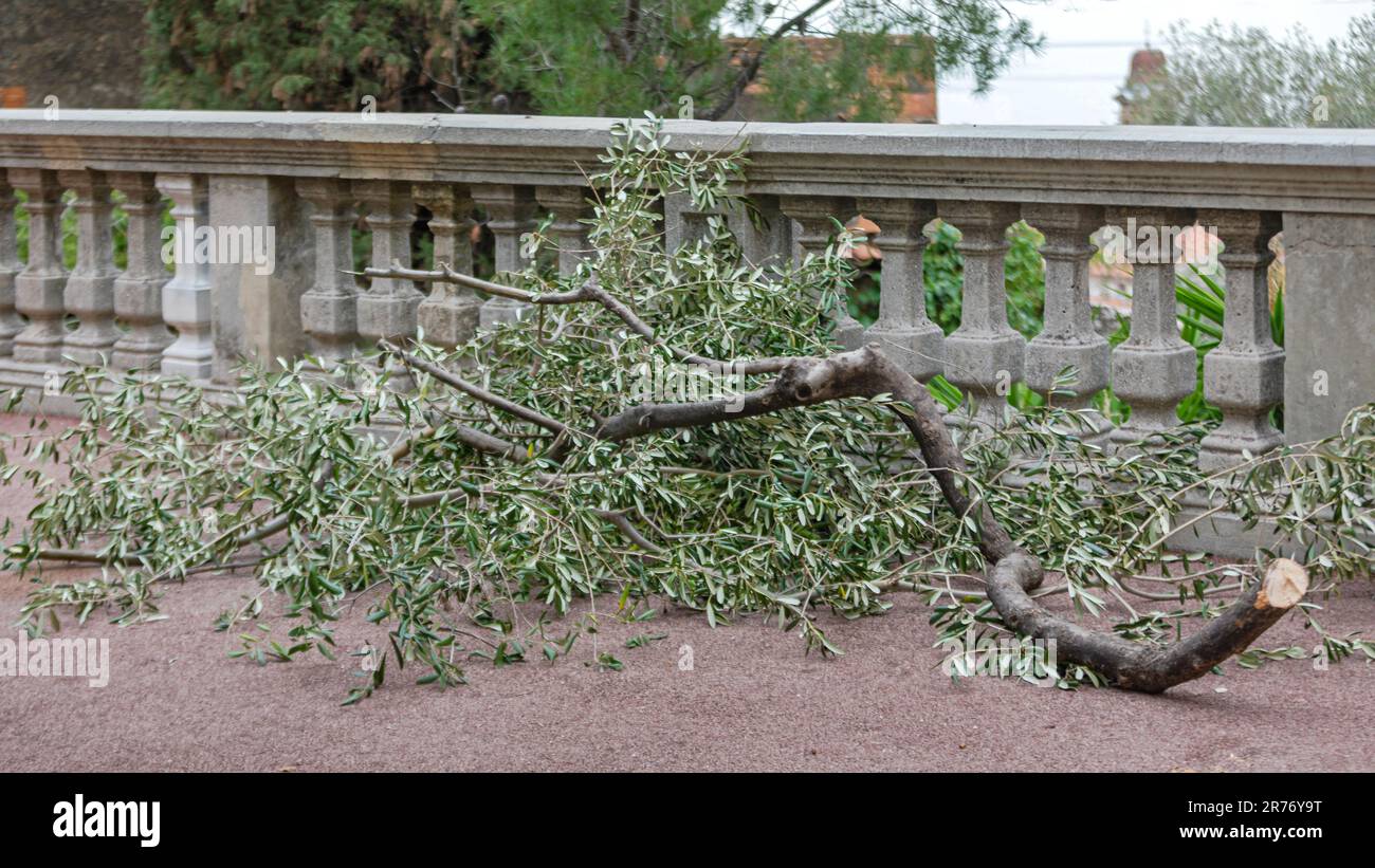 Strong wind damage hi-res stock photography and images - Alamy