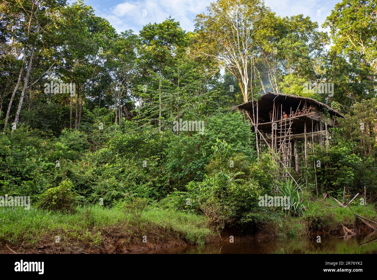 Korowai tree house hi-res stock photography and images - Alamy