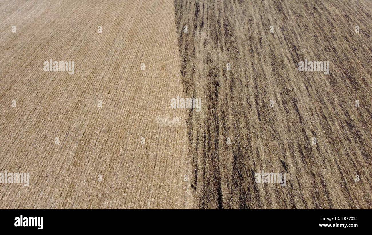 Half of large field after wheat harvest, half of field plowed, motorway ...