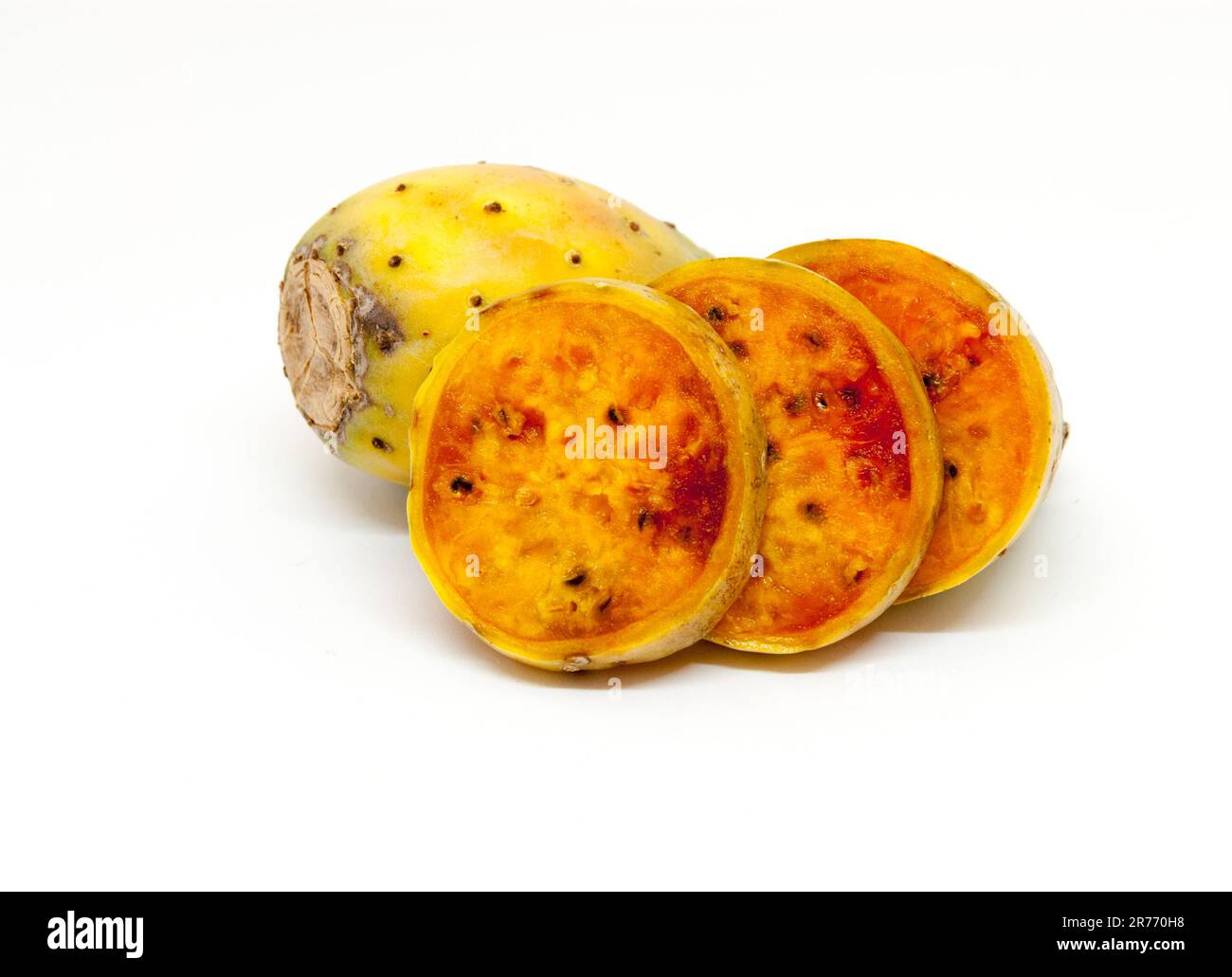Close up vibrant cactus Cut Out Stock Images & Pictures - Alamy